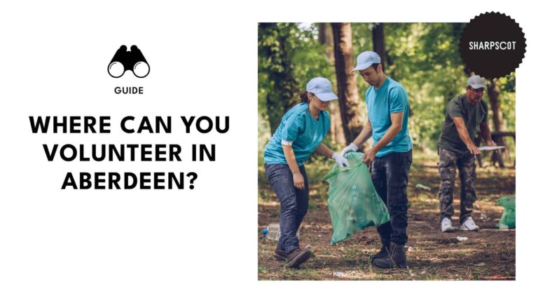 Get Involved in the Top 11 Volunteer Programs in Aberdeen